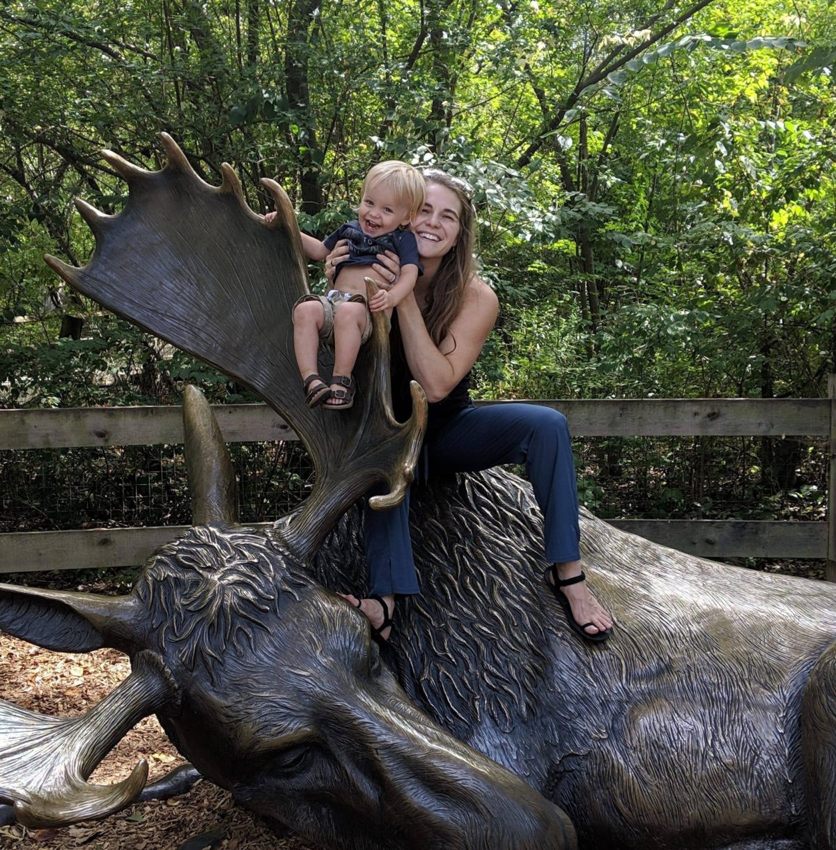 Testimonials ⋆ Downs Property Maintenance ⋆ What Our Customers Think